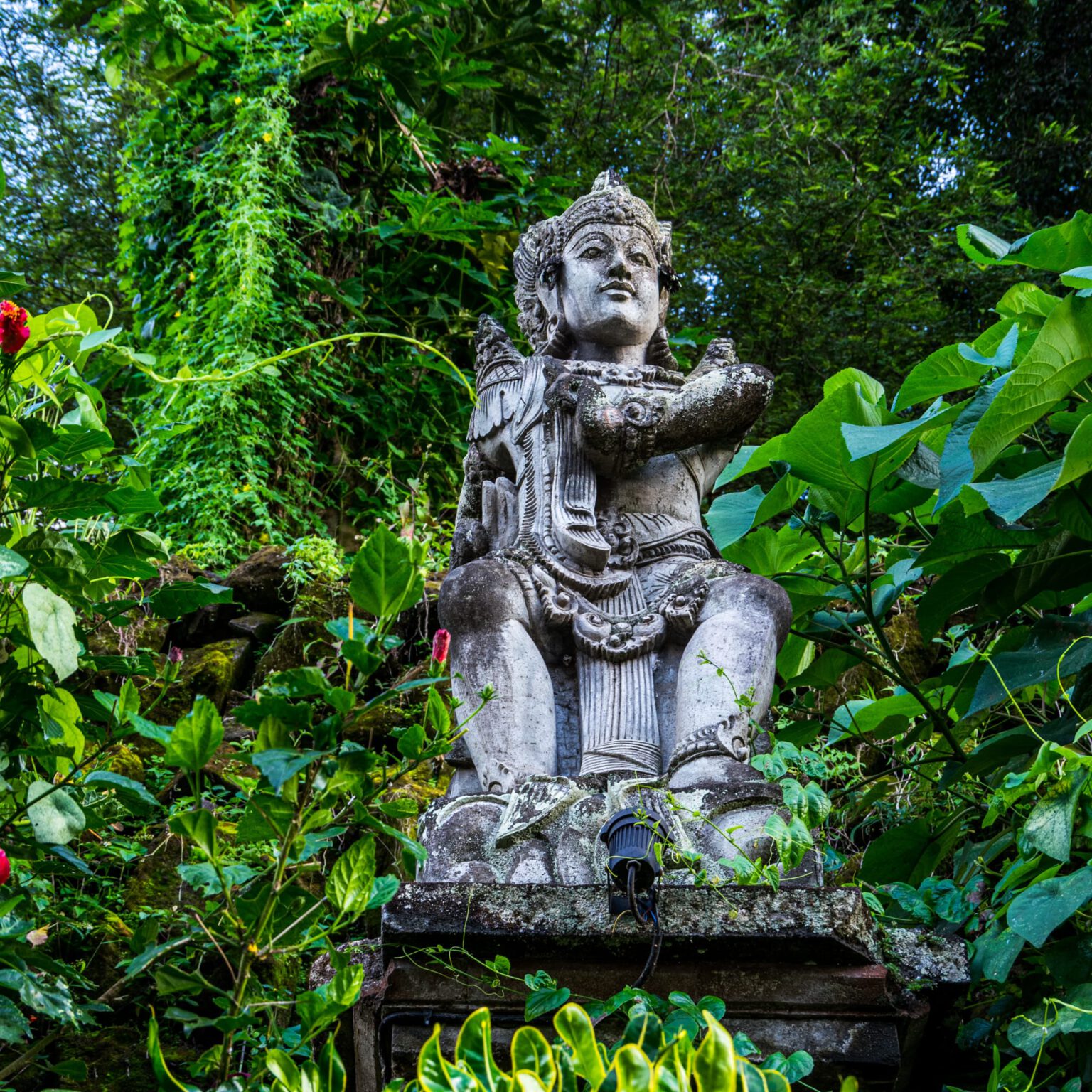 Weltreise Step #76: In Ubud, Bali - Backpackershome.de